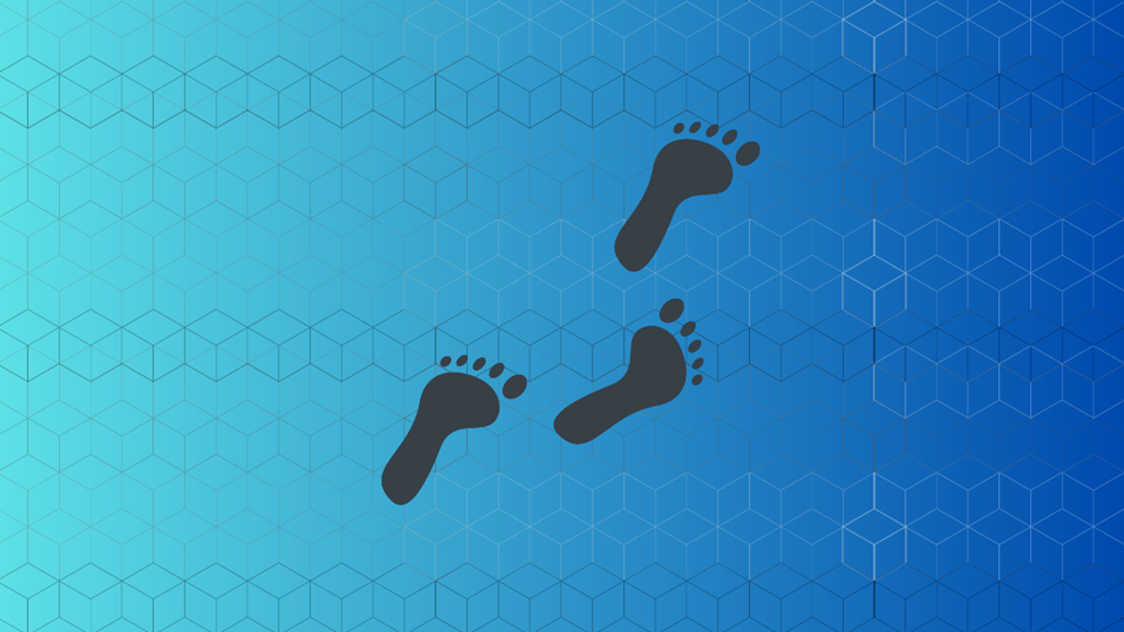 Cybersecurity 101: Protecting the Digital Footprint in the Digital Age ...