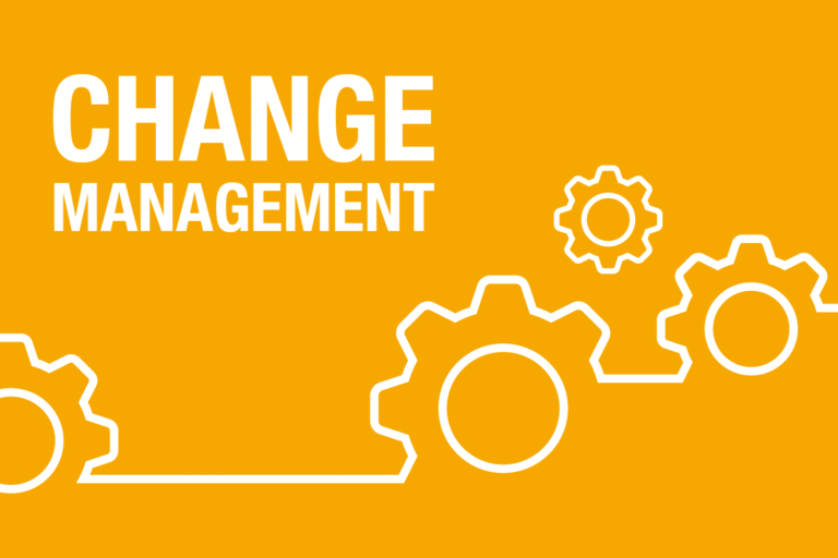 Change Management in IT: Planning and Implementation Using the Example ...